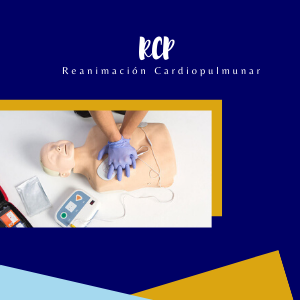 Pagina Principal - INDECAP Instituto de Ciencias Aplicadas