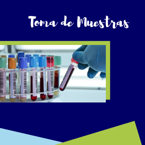 Pagina Principal - INDECAP Instituto de Ciencias Aplicadas